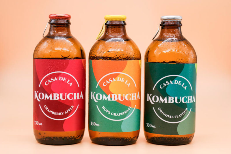 que-es-la-kombucha - Bebe-Té